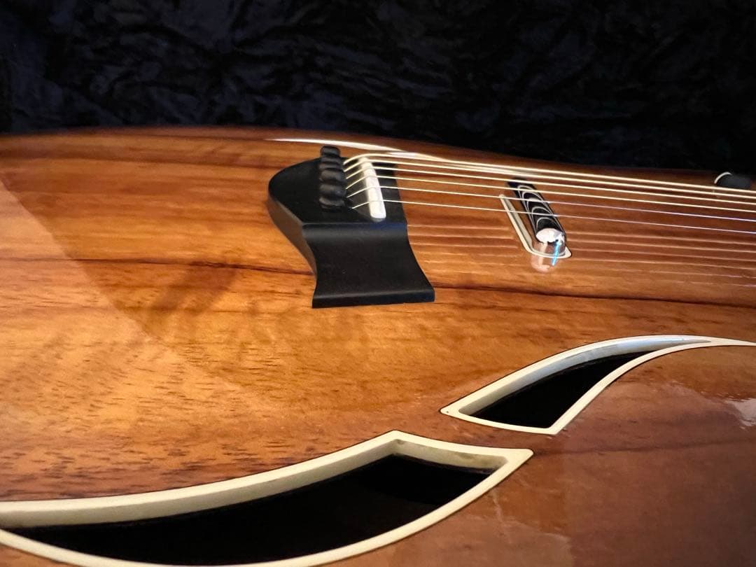 Taylor(テイラー) T5-S2 Hawaiian Koa