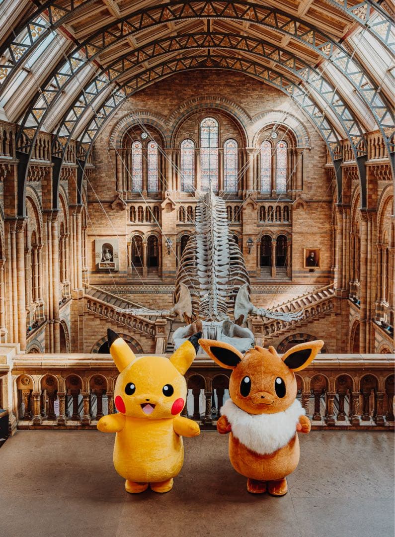 未開封 Pikachu at the Museum ピカチュウ 博物館プロモ