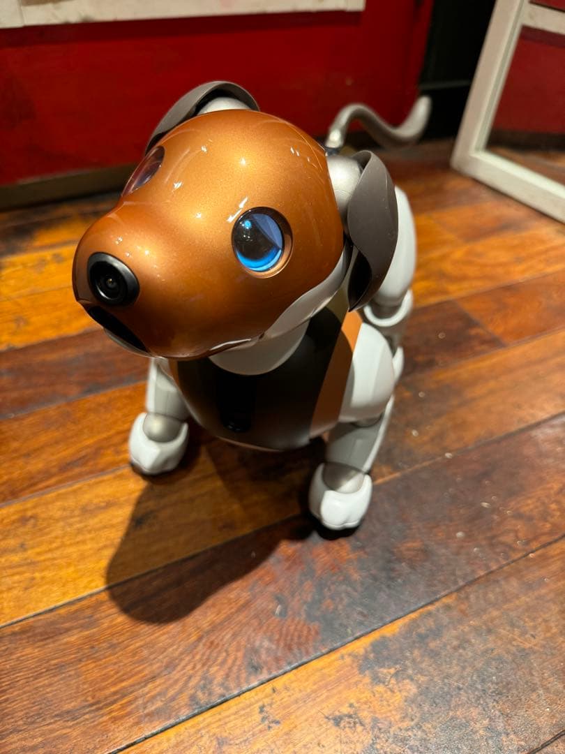 SONY AIBO アイボ ERS-1000 チョコエディション 限定モデル