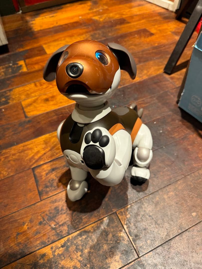 SONY AIBO アイボ ERS-1000 チョコエディション 限定モデル