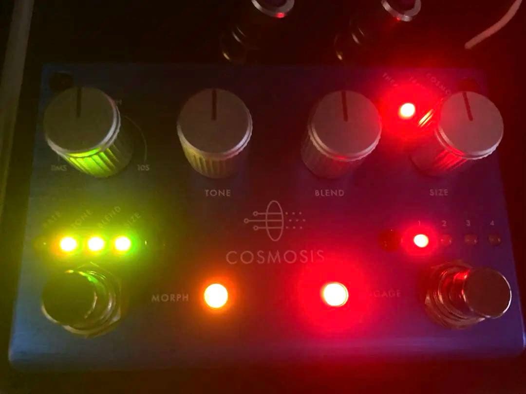 PIGTRONIX COSMOSIS アンビエントリバーブ ピグトロニクス 美品
