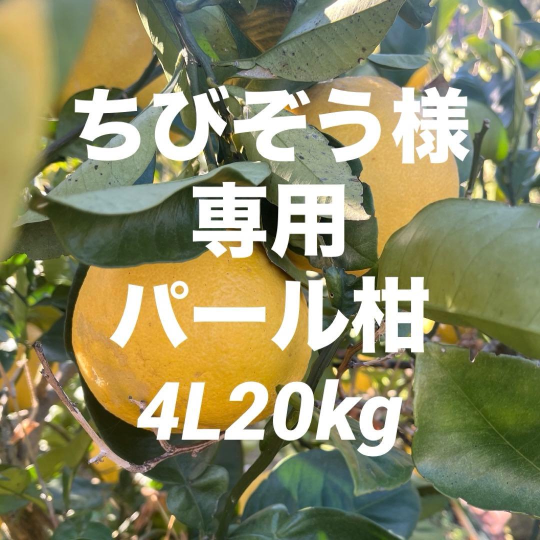 ちびぞうパール柑4L20kg
