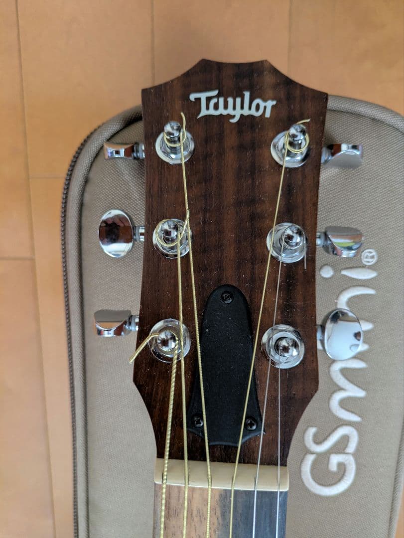 Taylor GS Mini　Mahogany【2022製】