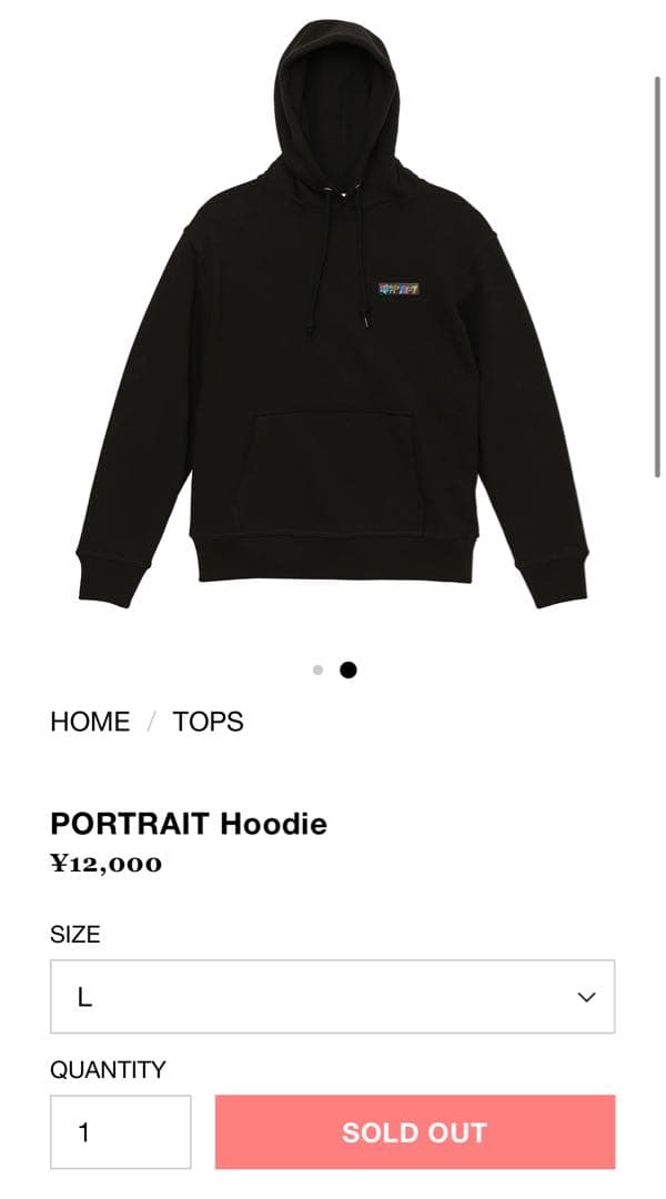 新品未使用⭐︎匿名配送　未開封　レア　電気グルーヴ　PORTRAIT Hoodie