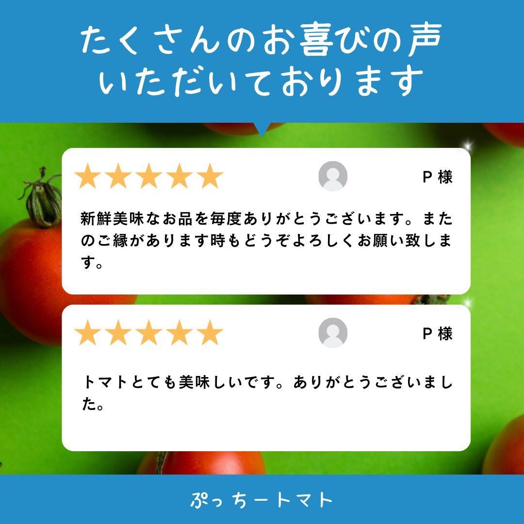 ミニトマト　10キロ　野菜　熊本　おやつ　弁当　おかず　ミネラル　リコピン