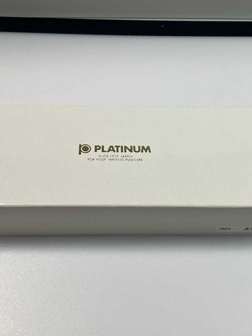 初期ロット　PLATINUM　#3776　センチュリー　ニース　リラ　B-nib