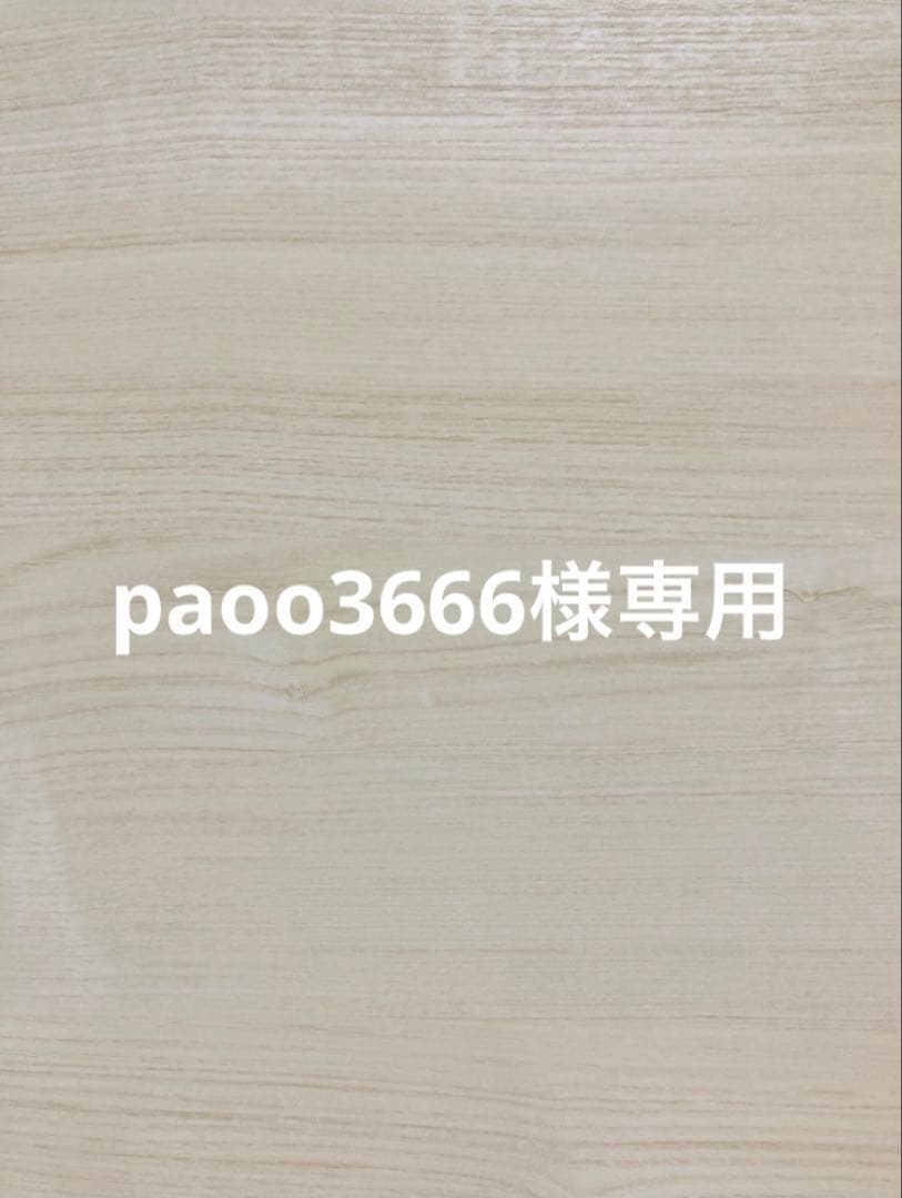 その他 paoo3666