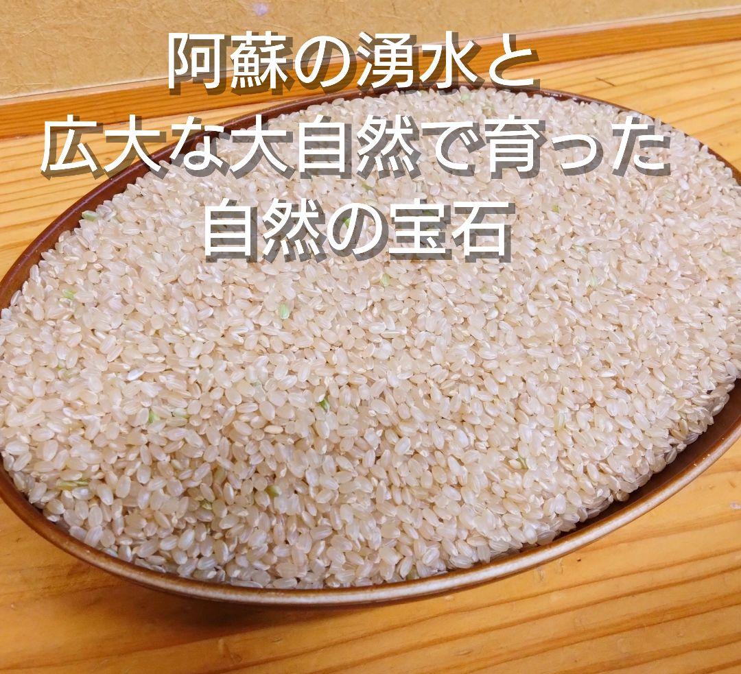 令和7年 自然栽培米　イセヒカリ 10kg 玄米