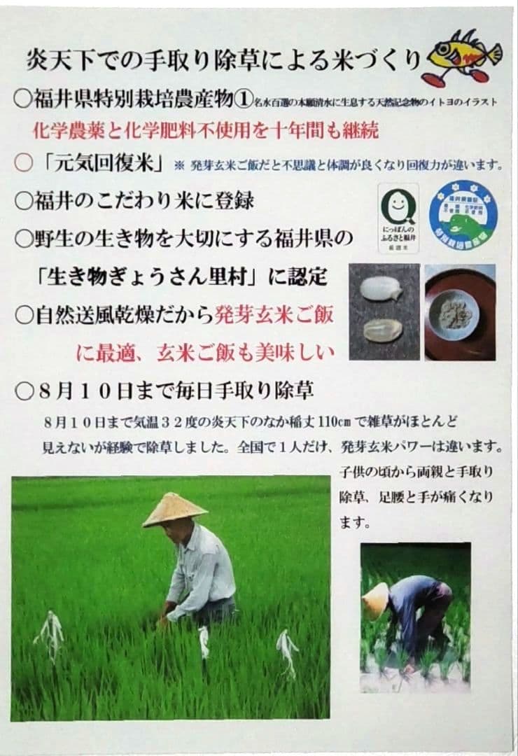 有機栽培米は超希少米 ７年産コシヒカリ 玄米10kg 特別栽培① 農薬等不使用