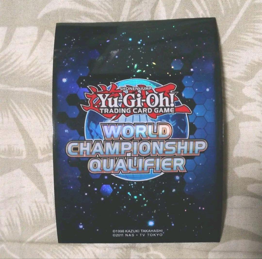 WCQ　スリーブ 2012
