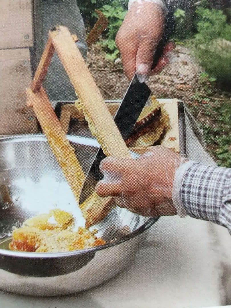 ぷに成ります希少！国産天然日本百花はちみつ鹿児島県南薩摩養蜂園蜂蜜計3kg