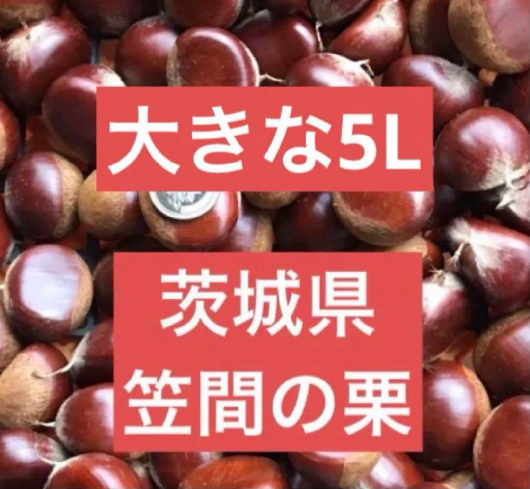 まー@プロフ必読ページ 笠間の生栗　大きな生栗