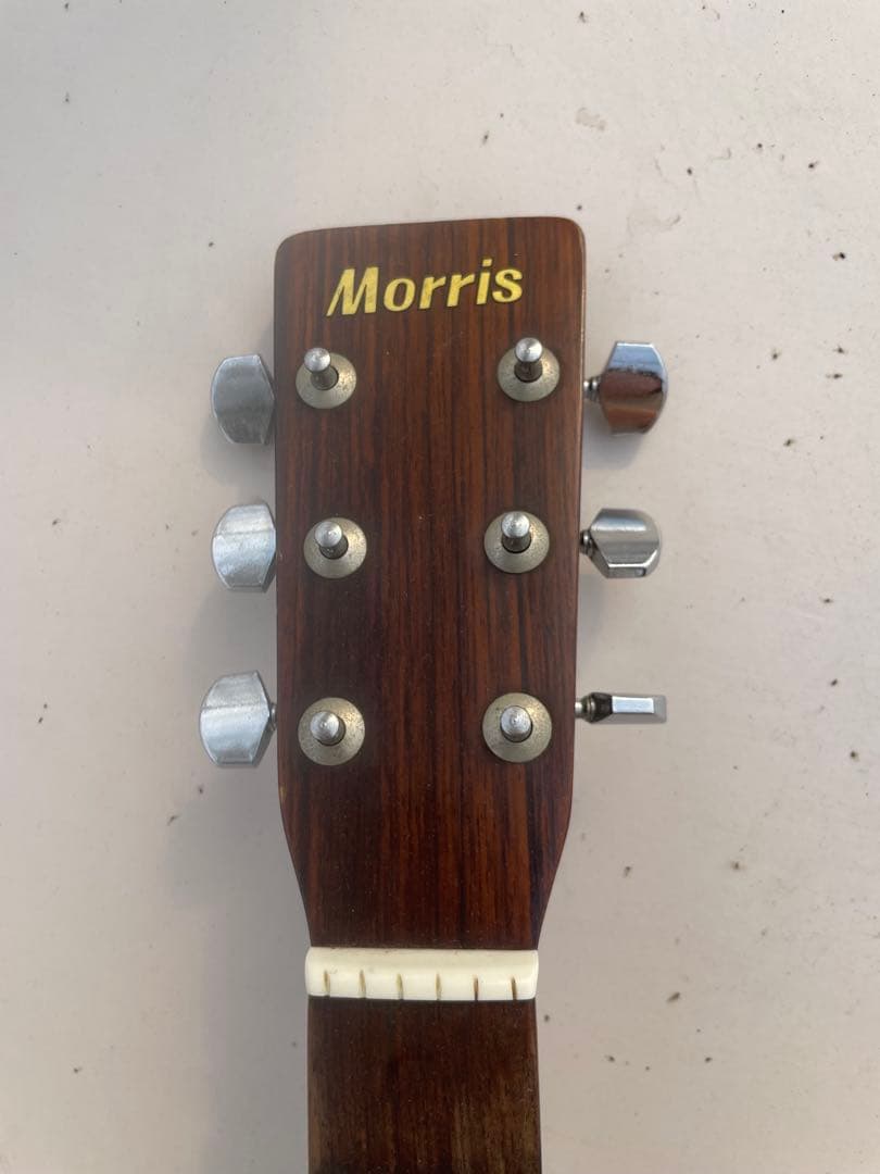 Morris W-20ギター