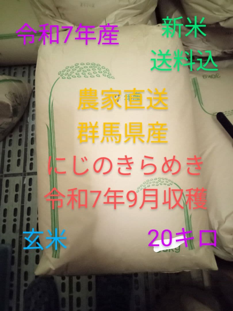 R7年産 新米 群馬県産 にじのきらめき 20キロ 玄米 送料込 20kg ①