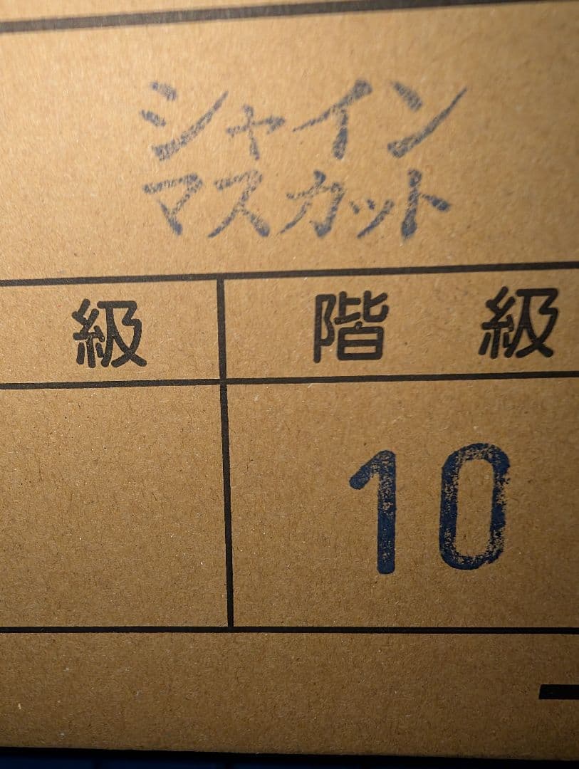 山梨県産ぶどう　シャインマスカット　10房入り　箱込み約5.6kg