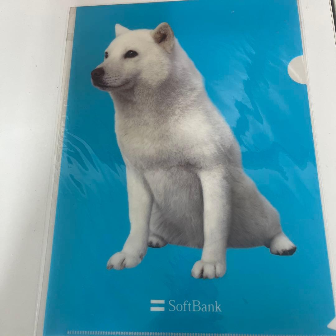 SoftBank 白い犬 A4クリアファイル