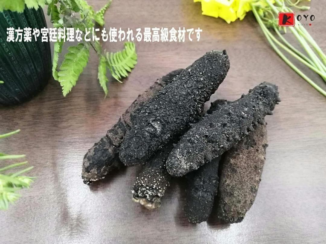100g×2点 関西産　乾燥なまこ　ナマコ 5-8ｇ　海鼠 海参　高級食材