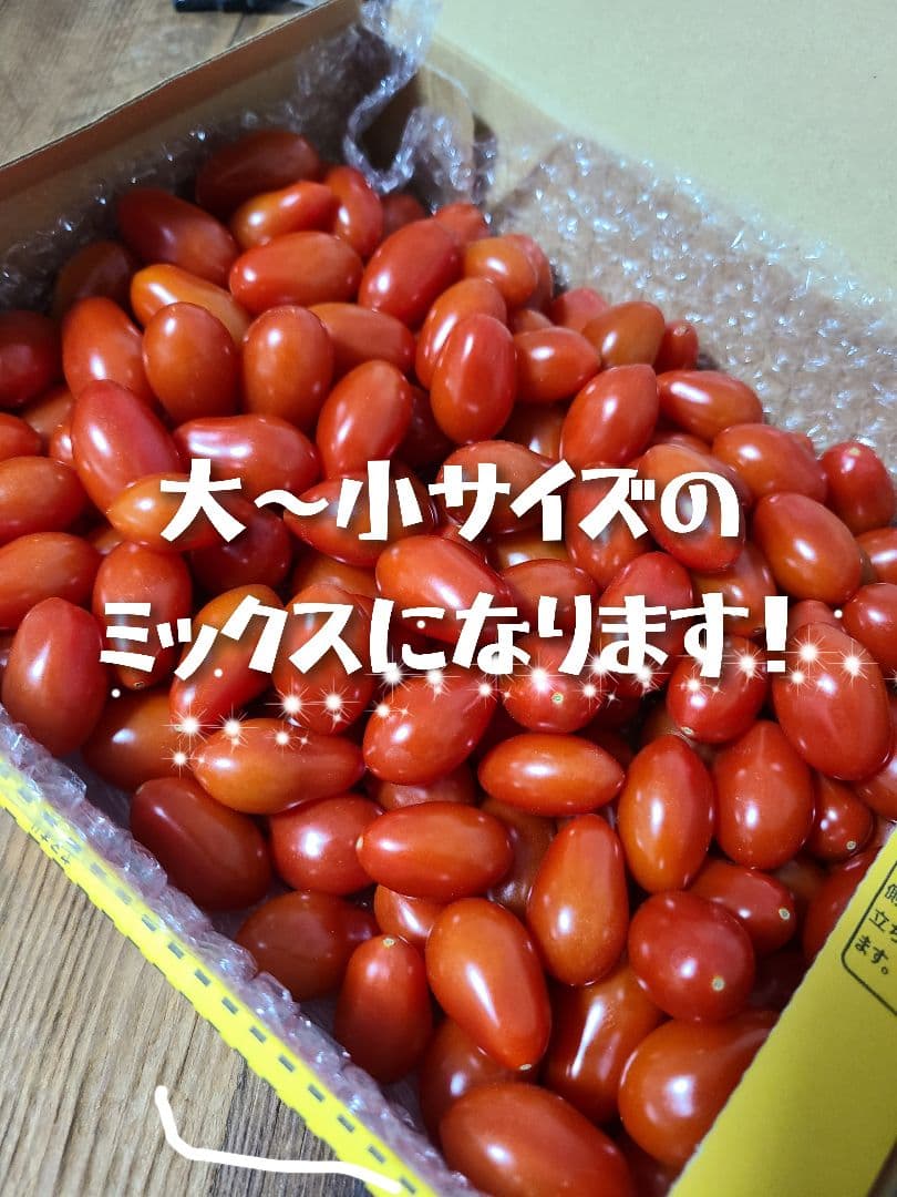熊本県産ミニトマト「茜とまと９キロ」