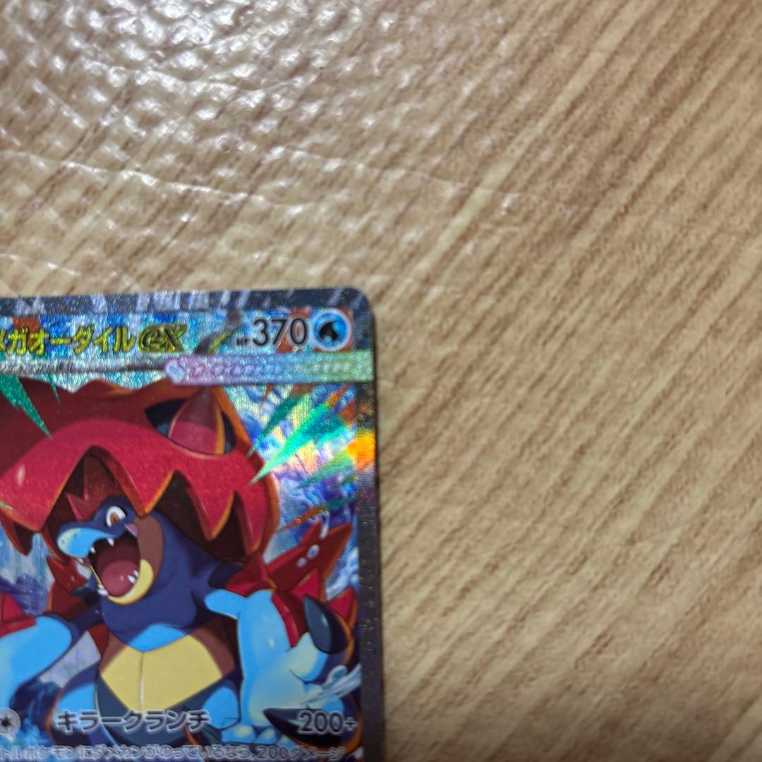ポケモンカードデッキ 101/100