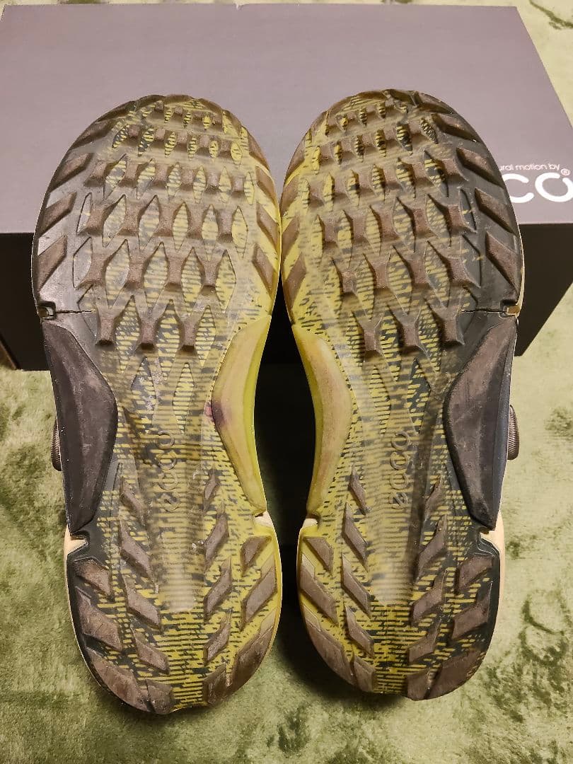 ECCO エコー ゴルフシューズ BIOM H4 BOA