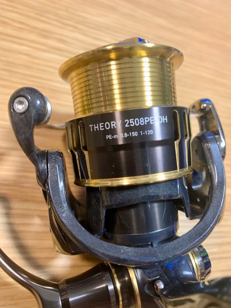 リール DAIWA THEORY 2508PE-DH