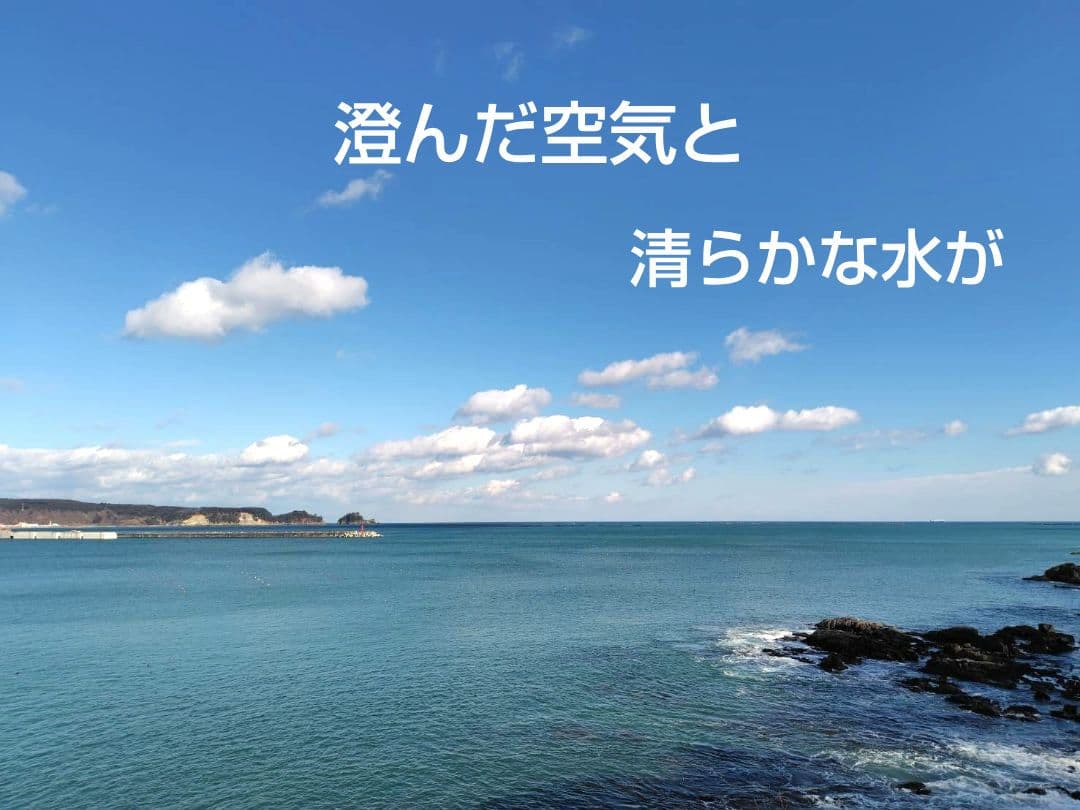 つきあかり10kg　岩手県産 令和６年産 減農薬 玄米 有機栽培