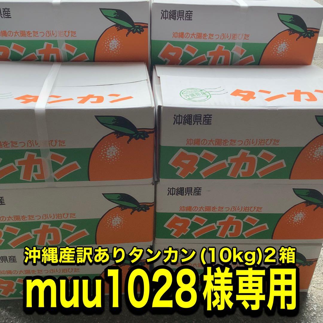 muu1028様/沖縄産 タンカン 10kg 2箱セット