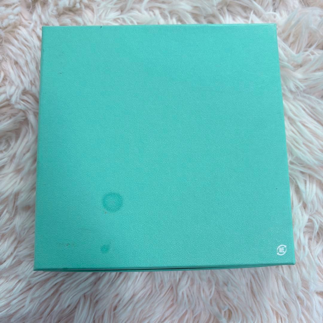 未使用級✨Tiffany レザー首輪 M プレート 金具 4段調整