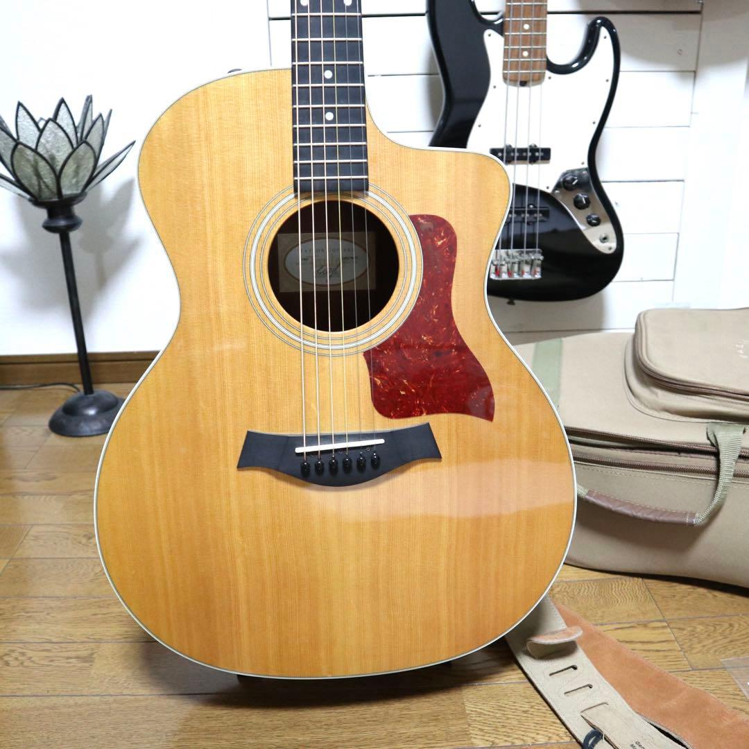 【送料込み】Taylor 214ce ES2 エレアコ 本革ストラップ ケース