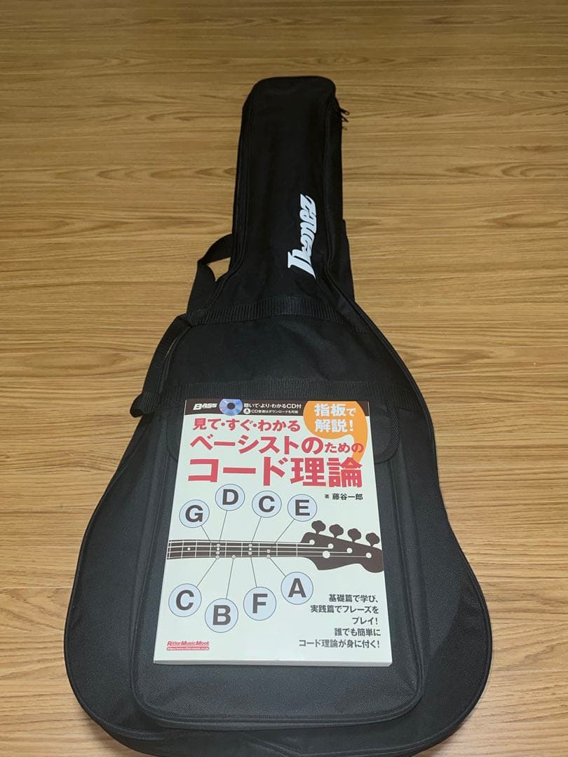 Ibanez AEGB24E-MHS (必ず商品の説明をご覧ください！)