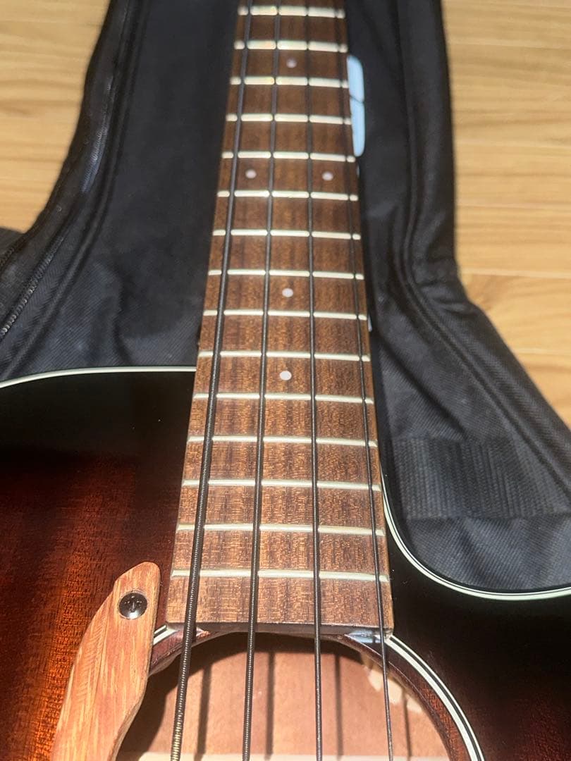 Ibanez AEGB24E-MHS (必ず商品の説明をご覧ください！)