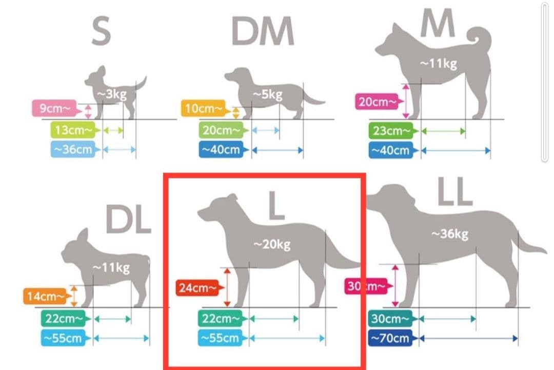 【新品未使用】OneAid リラクッション Lサイズ ベージュ
