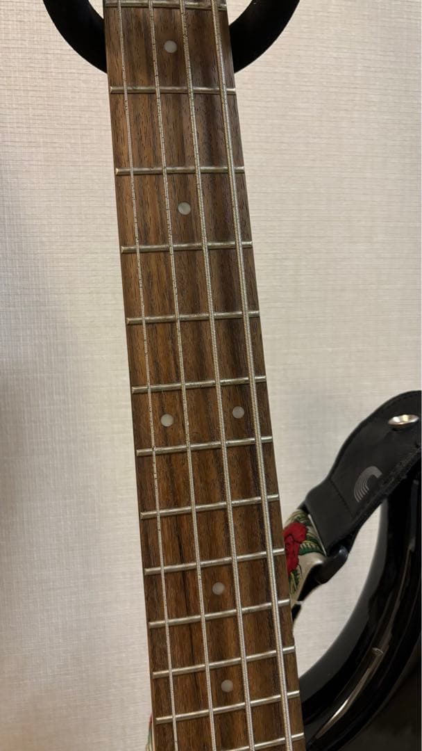 【9点セット】FERNANDES レフティ エレキベース 左利き 初心者