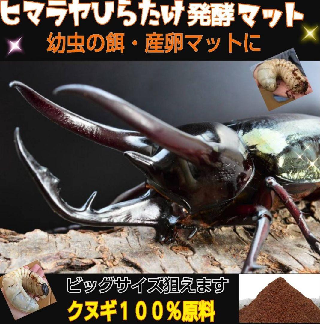 カブトムシ幼虫が大きくなる！栄養たっぷり！発酵マット【6袋】雑虫が湧きません！