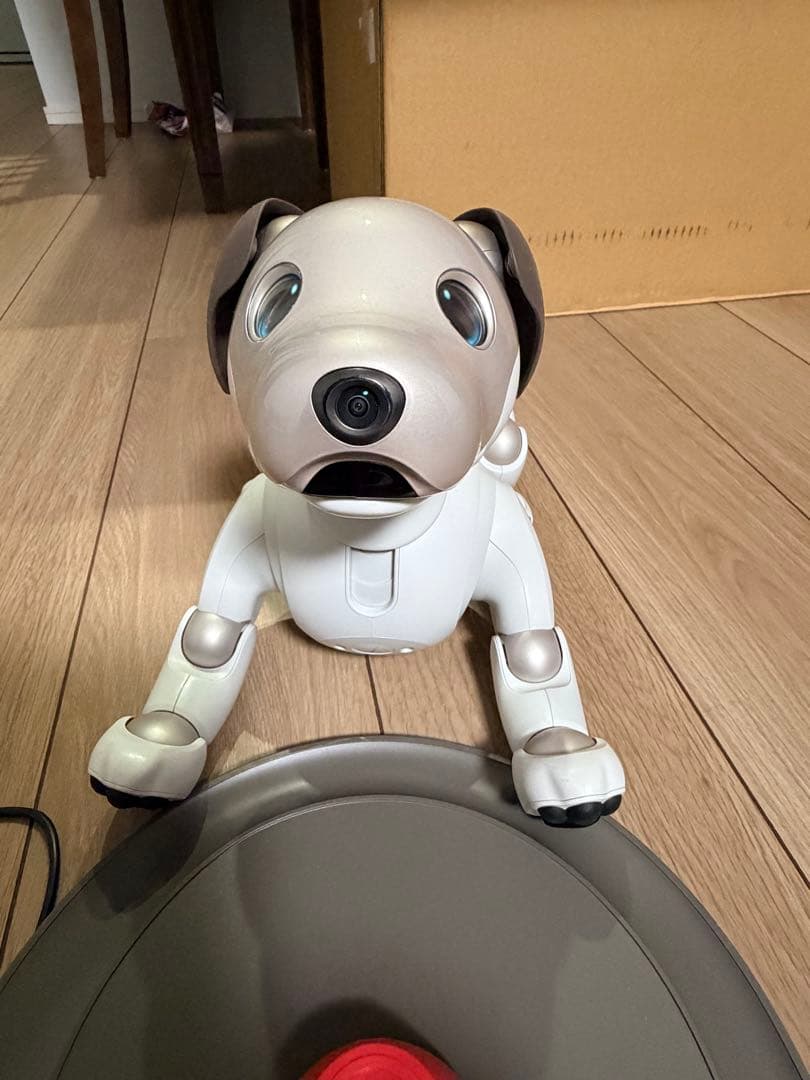 aibo 本体