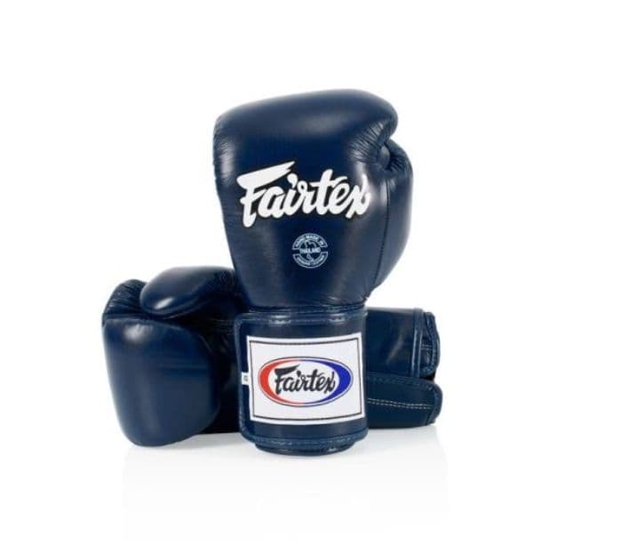 フェアテックス ボクシンググローブ BGV5 Fairtex 16oz