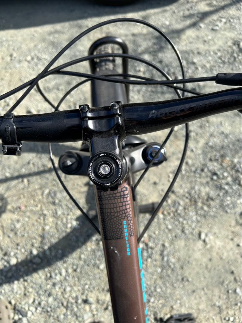 SANTACRUZ サンタクルズ　カメレオン　29er ブラウン　Mサイズ