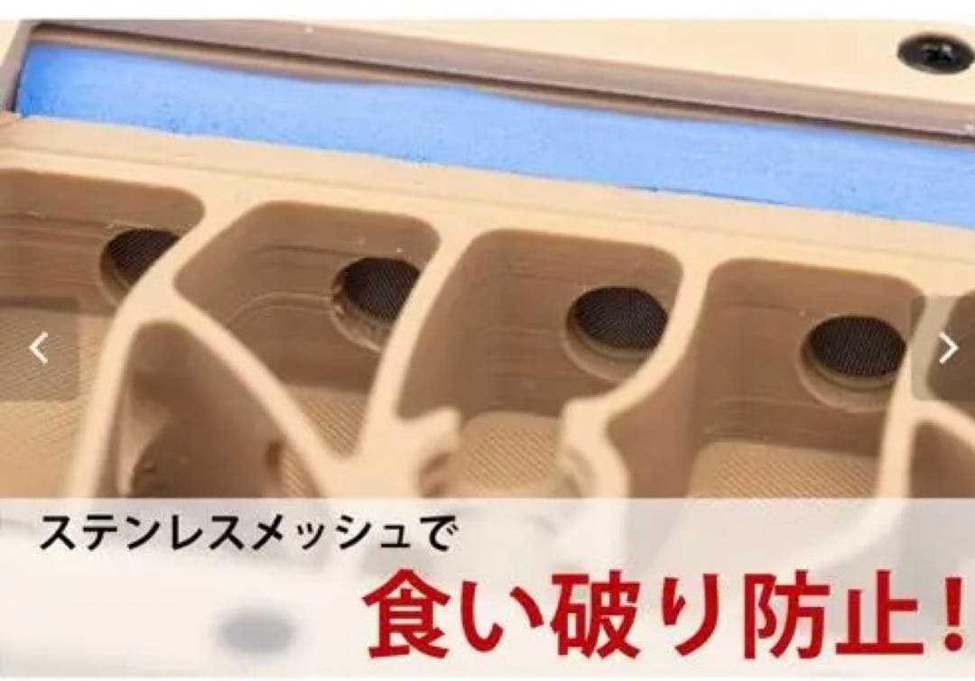 Ant case NEXST アリ飼育用ケース コンパクト