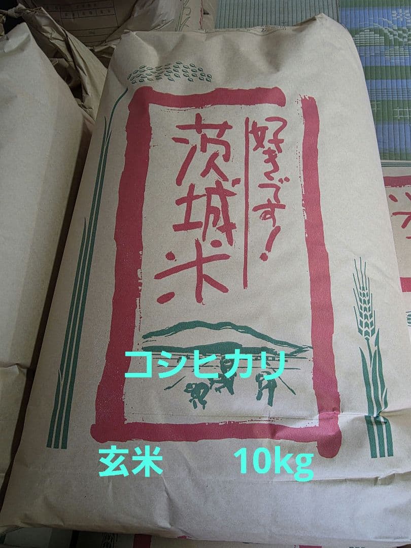 茨城県産 コシヒカリ 10kg玄米