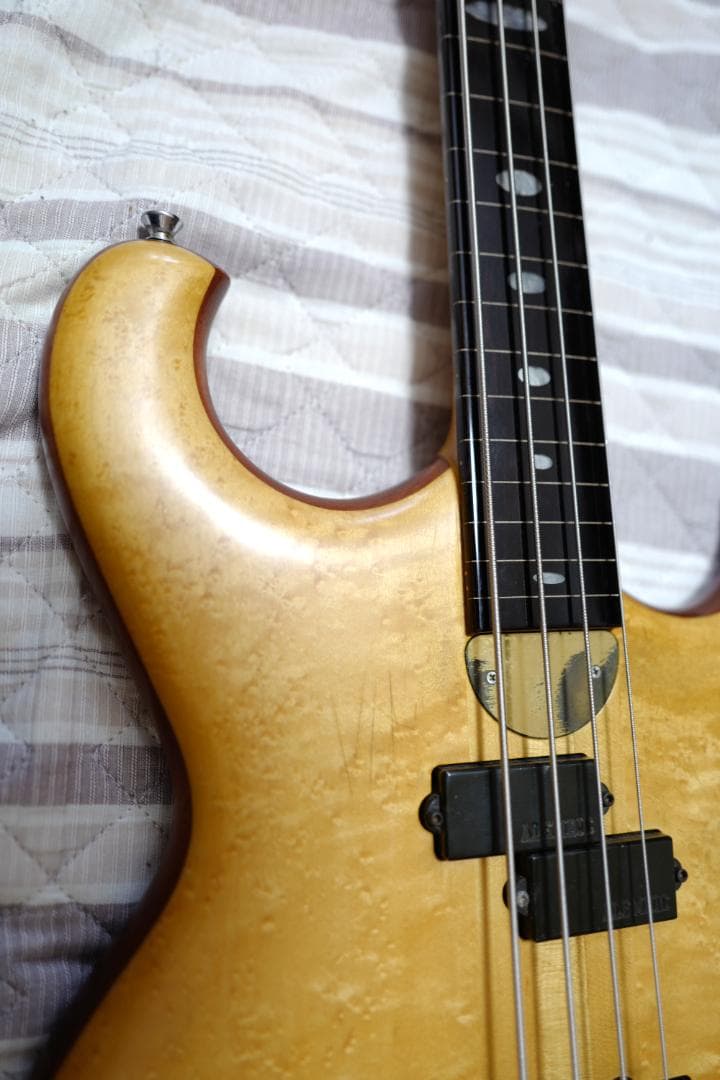 限定！ Alembic Persuader Fretless エポキシ