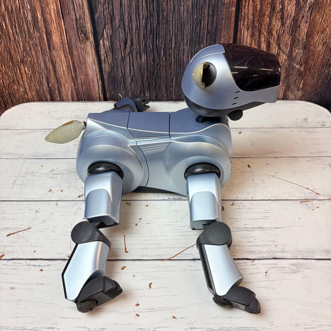 SONY ソニー AIBO アイボ ERA-210P1 シルバー 通電確認済