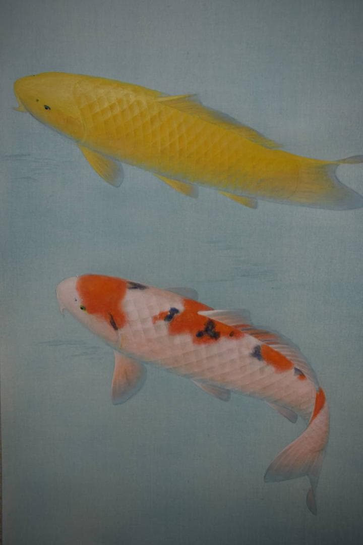 真作/樋口暘/鯉図/静泳/桐共箱太巻二重箱付/布袋屋掛軸HG-946