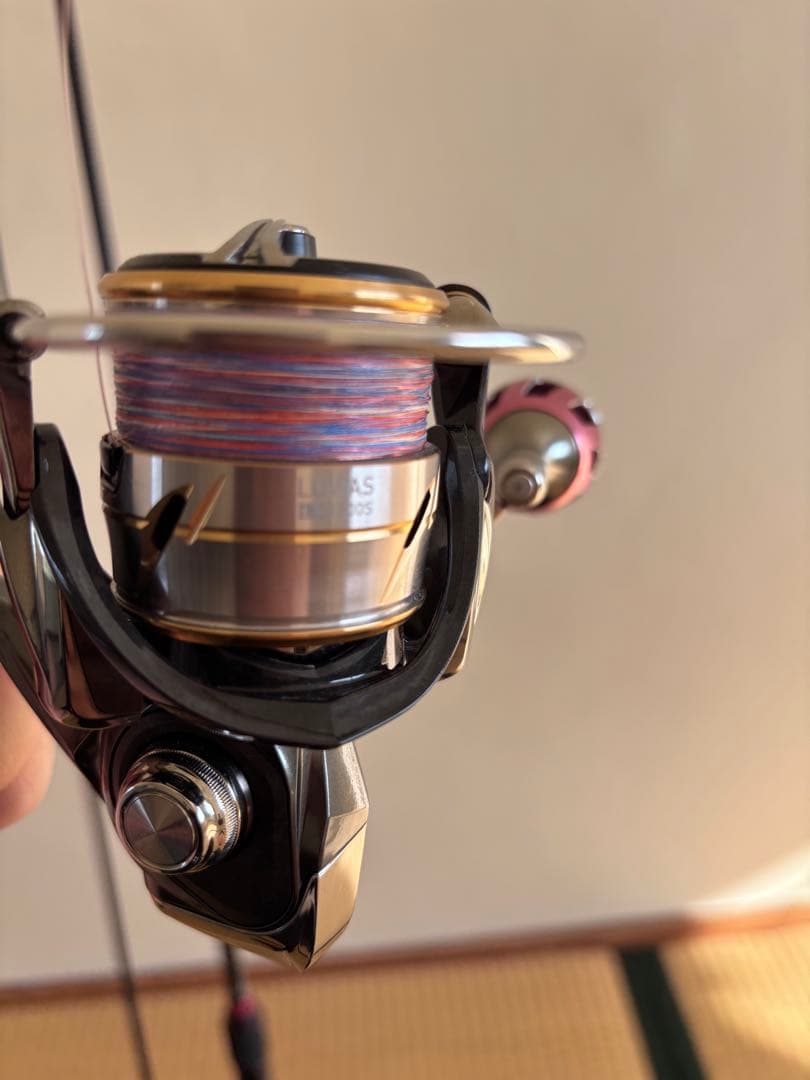 DAIWA ルビアス LT2500s