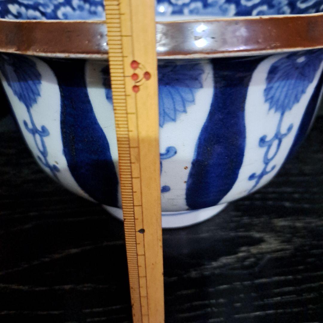 古伊万里　呉須染付青磁　深鉢　輪花赤縁　口太　高台　立割菊花図　江戸後期