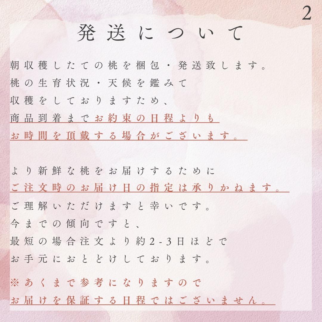 自宅用【幸茜10kg 約24-36個】