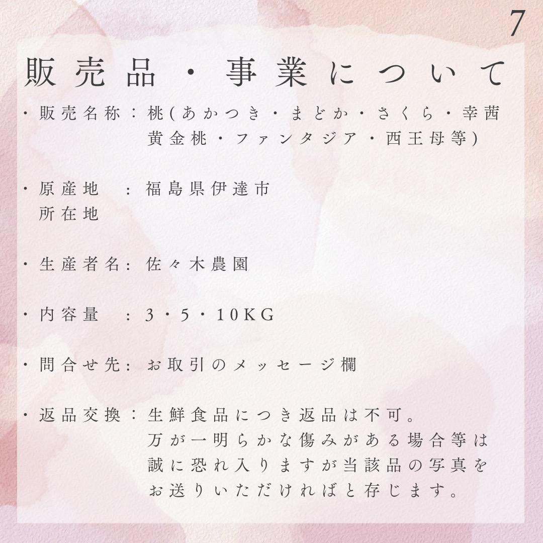 自宅用【幸茜10kg 約24-36個】