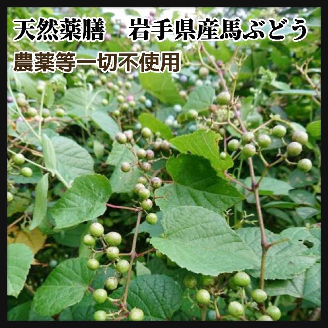 【大容量良質】馬ぶどう250g×12袋　1年分3kg うまぶどう　薬膳　民間療法