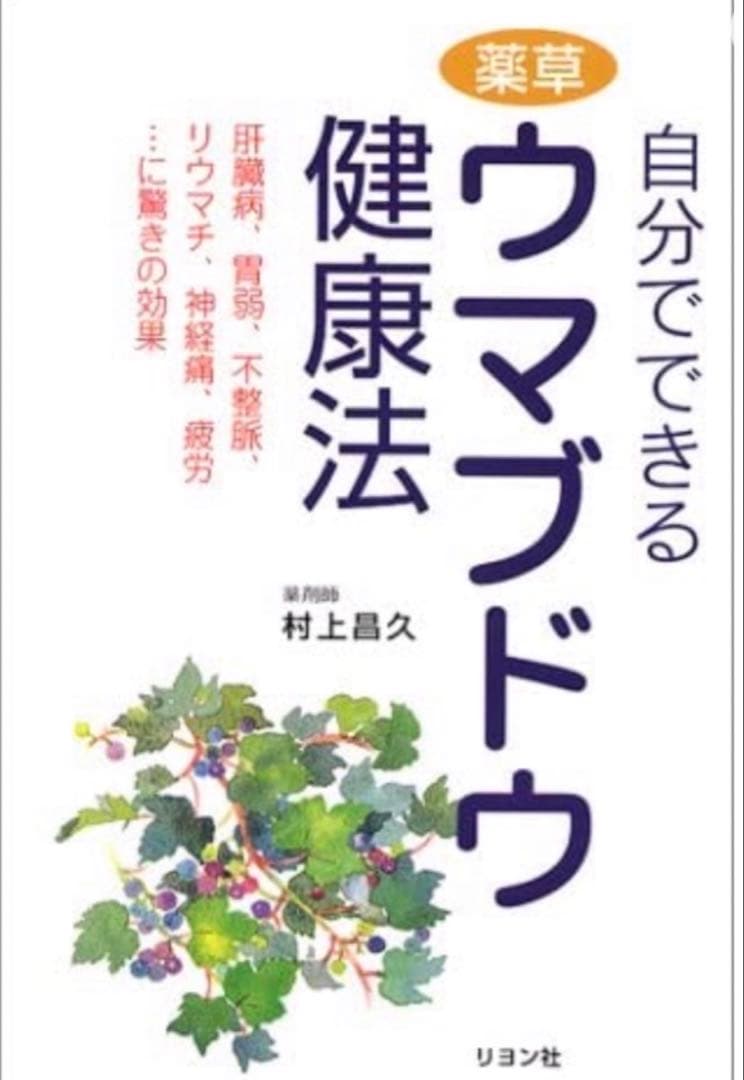 【大容量良質】馬ぶどう250g×12袋　1年分3kg うまぶどう　薬膳　民間療法