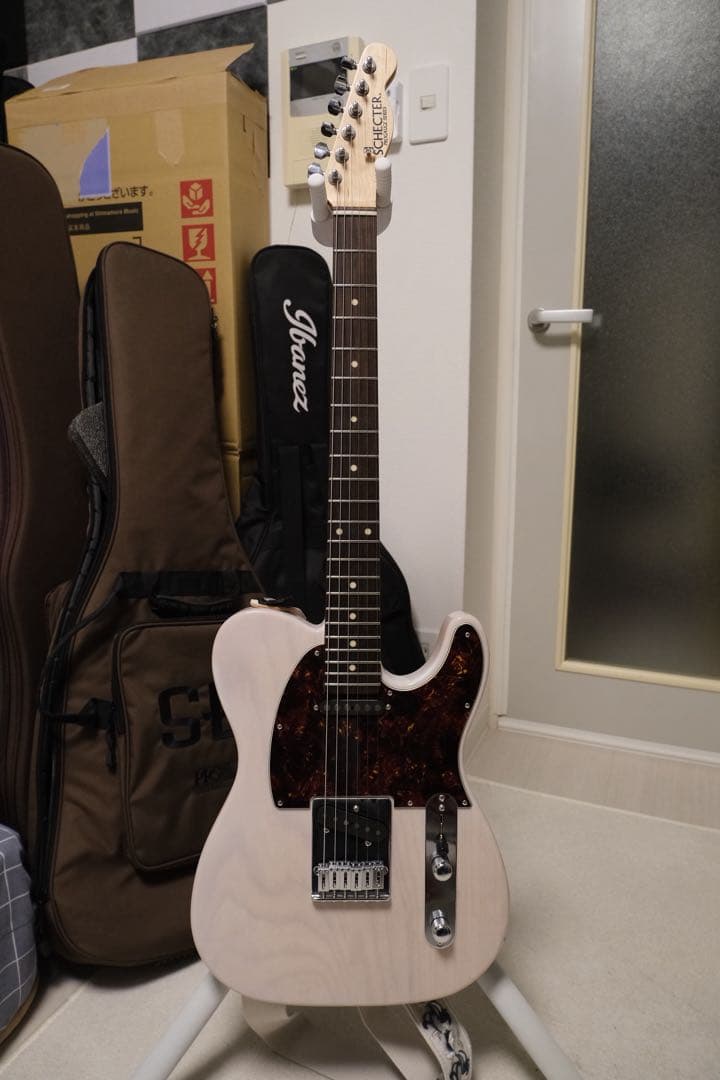 SCHECTER 凛として時雨 TKモデル PA-LS/TK
