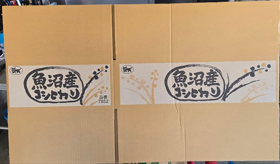 令和6年度 魚沼産コシヒカリ